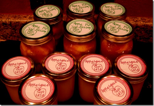 Beneath My Dreaming Tree: How To Use 50+ Apples